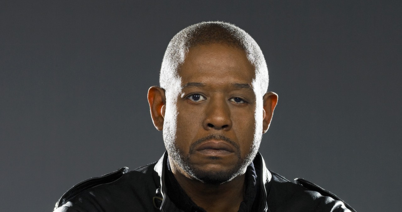 Obsada serialu "Zabójcze umysły: okiem sprawcy" - Świat Seriali w ...