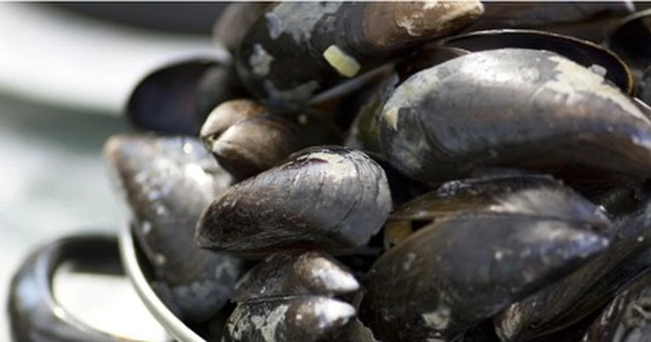 Mule - Kobieta w INTERIA.PL