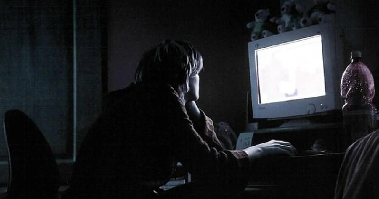 Haker, cracker, phreaker. Czym różnią się od siebie cyberprzestępcy ...