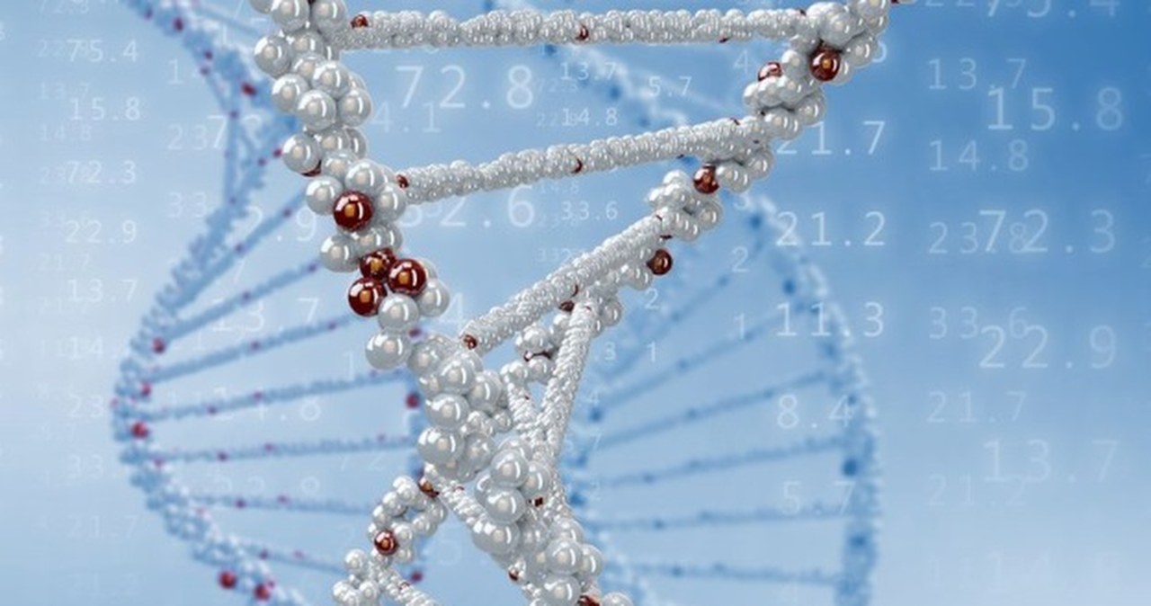 Patentowanie genów zabronione - GeekWeek w INTERIA.PL