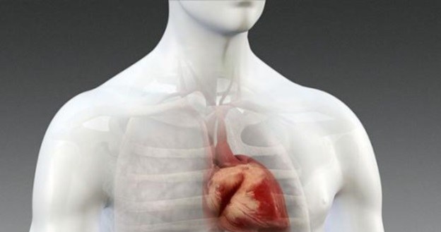 Naukowcy pracują nad światłoczułym rozrusznikiem serca - Geekweek w ...