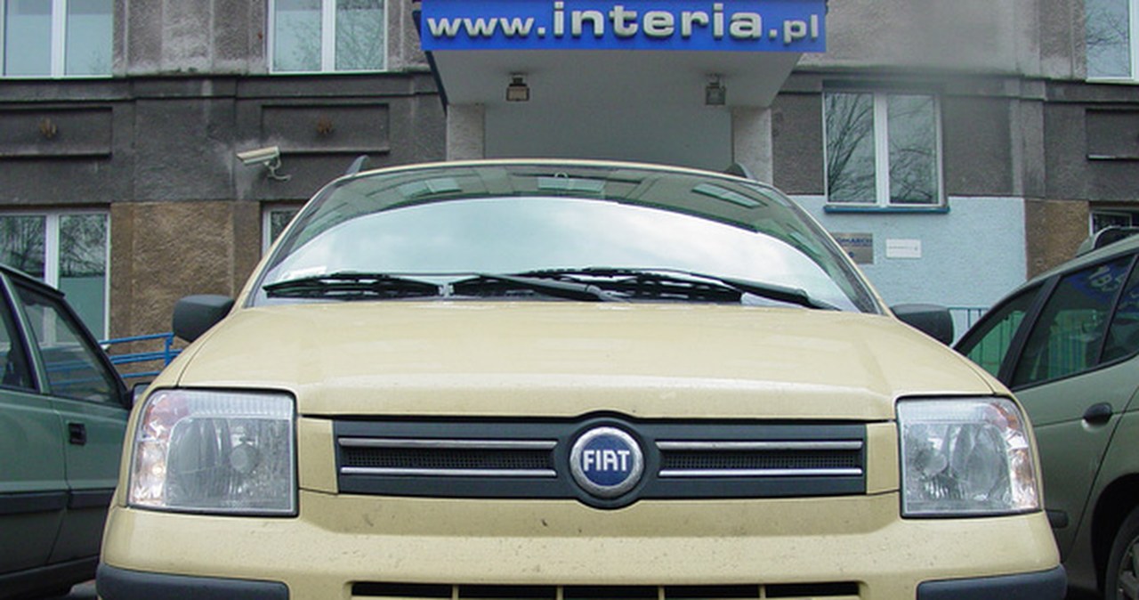 Przyjazny miś czyli nasz test pandy - Motoryzacja w INTERIA.PL