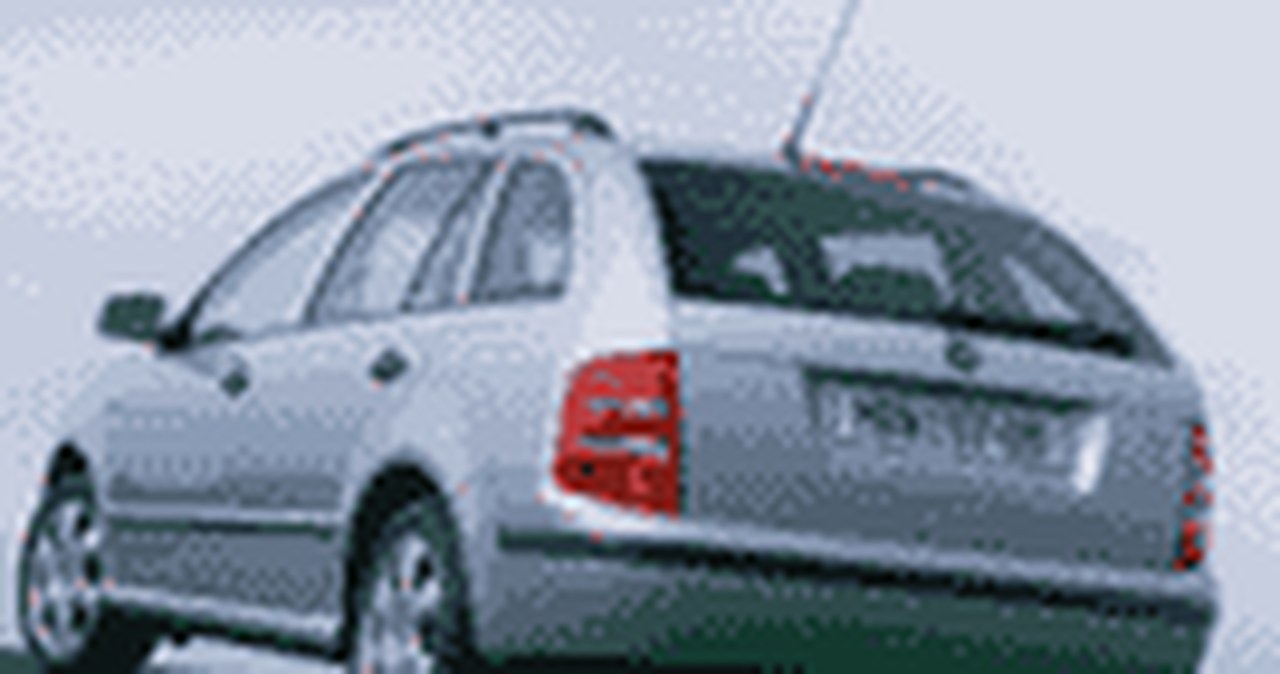 Palio, fabia czy 206 SW? - Motoryzacja w INTERIA.PL