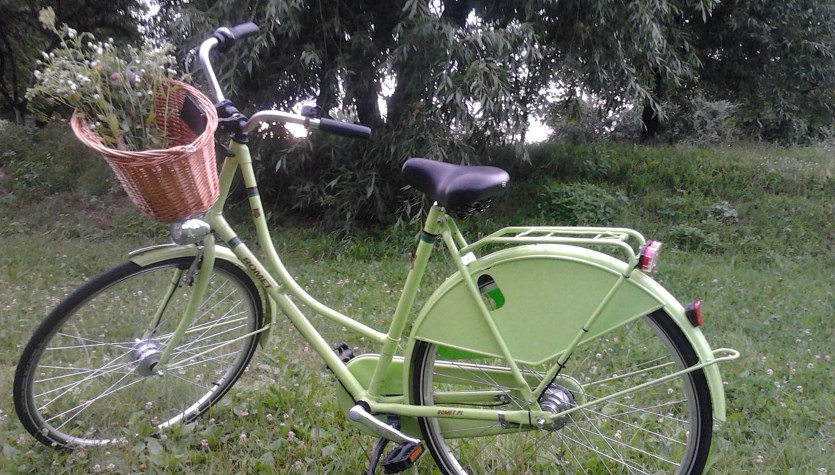 Romet Retro Lux 7: Stylowy i nowoczesny - Styl w INTERIA.PL