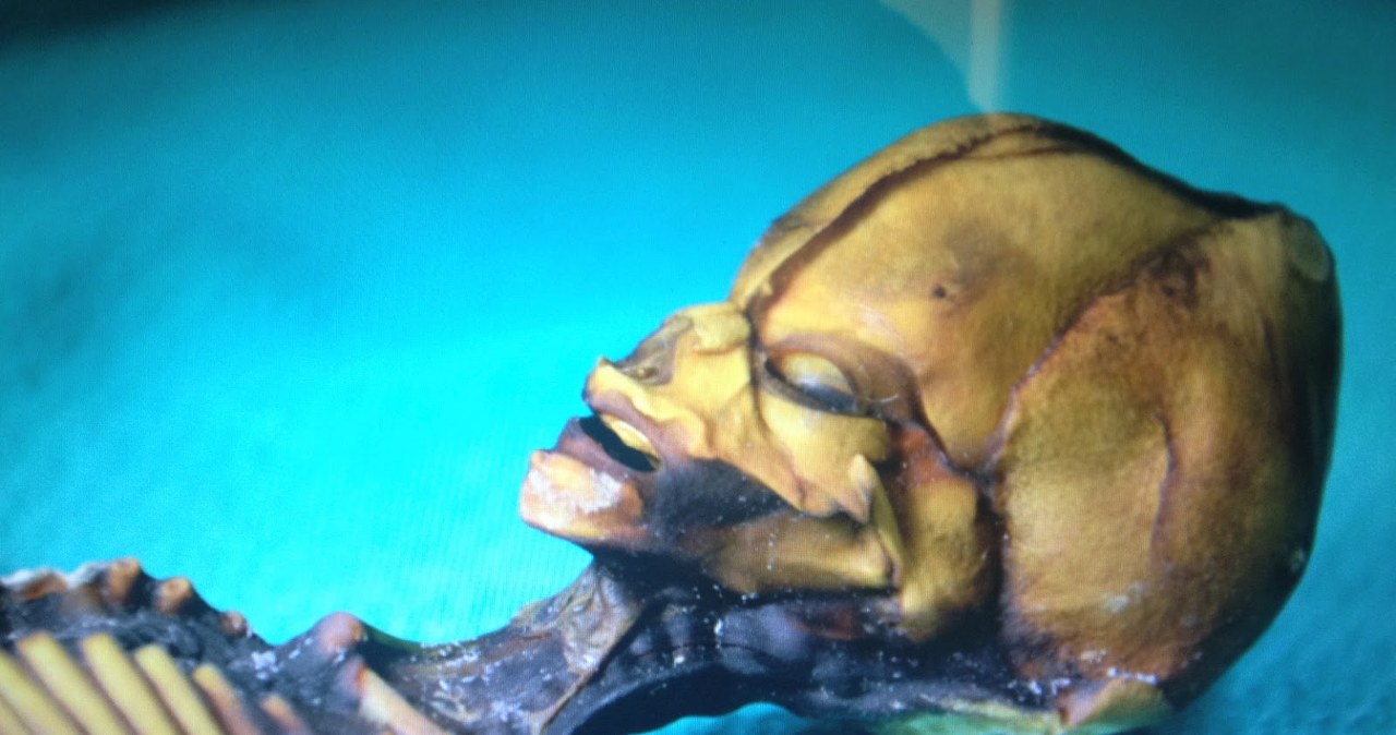 Humanoid z pustyni Atacama - kosmita czy zdeformowany płód? - GeekWeek ...