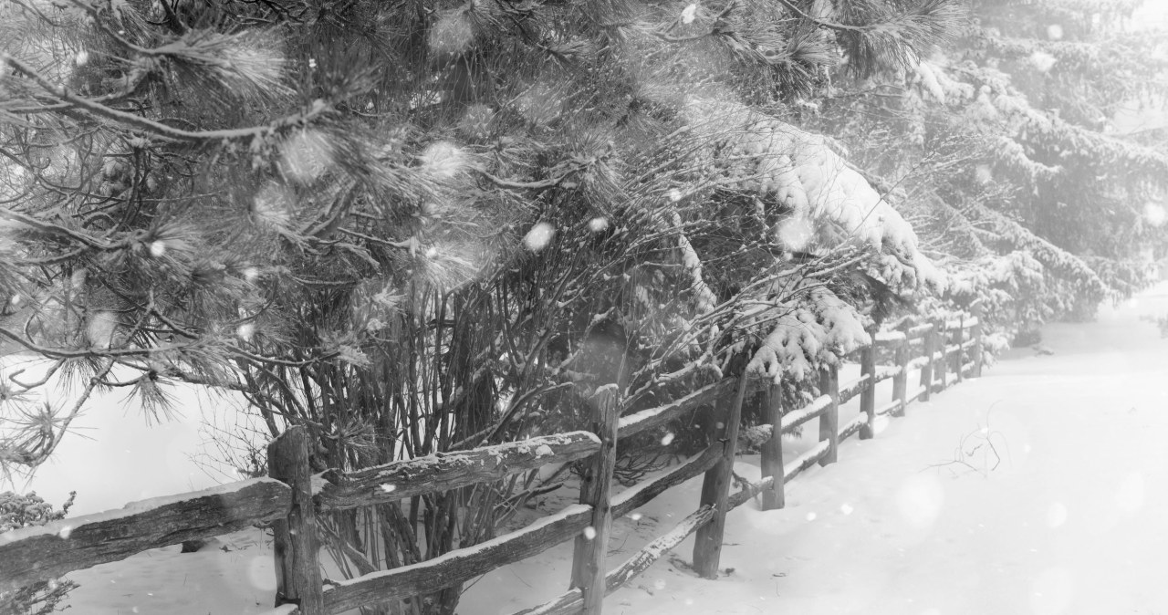 Sroga zima w USA - Pogoda w INTERIA.PL