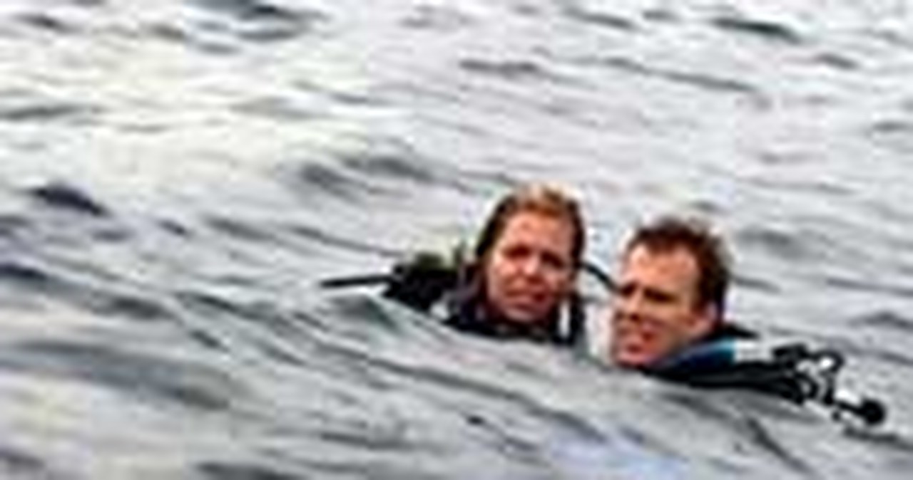 Zaskakujący "Ocean strachu" - Film w INTERIA.PL