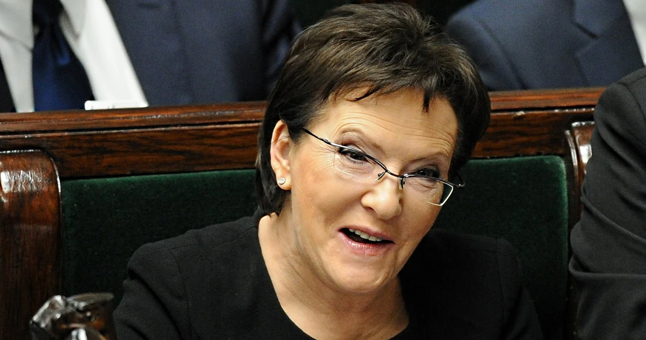 Chwedoruk: PO za szybko poczuła się partią władzy. Kopacz gra o wszystko - Wydarzenia w INTERIA.PL