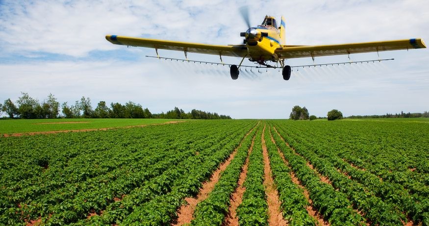 Pestycydy wywołują cukrzycę - Geekweek w INTERIA.PL