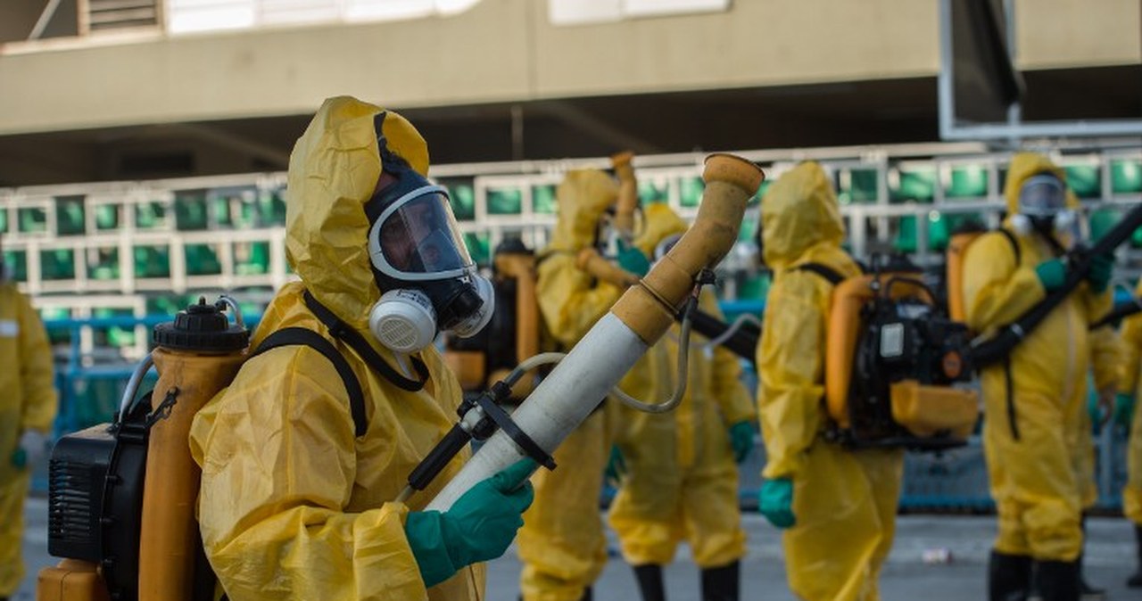 Wirus Zika: Objawy choroby, drogi zakażenia. Ekspert wyjaśnia ...