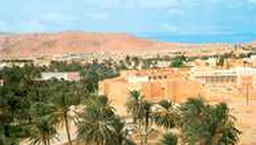 KAFSA - Encyklopedia w INTERIA.PL