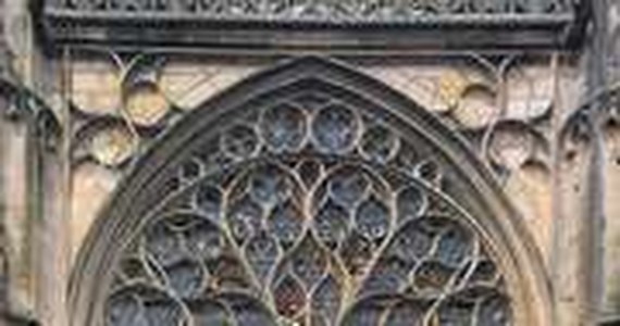 ROZETA - Encyklopedia w INTERIA.PL