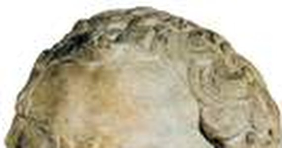 DEMOSTENES - Encyklopedia w INTERIA.PL