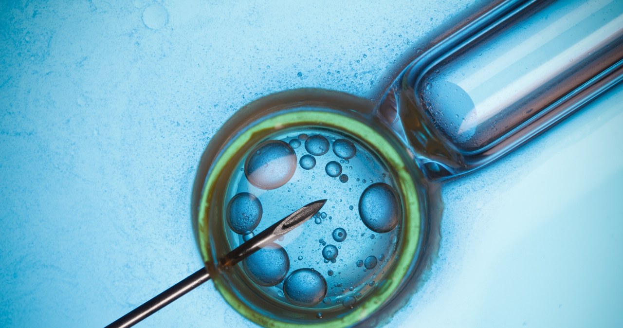 Jak wygląda zabieg in vitro? - Zdrowie w INTERIA.PL