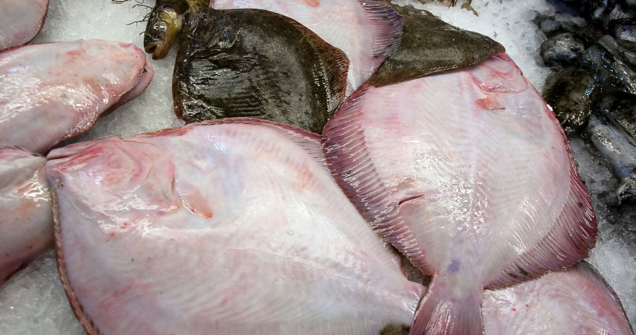 Wakacyjna ryba - Kobieta w INTERIA.PL