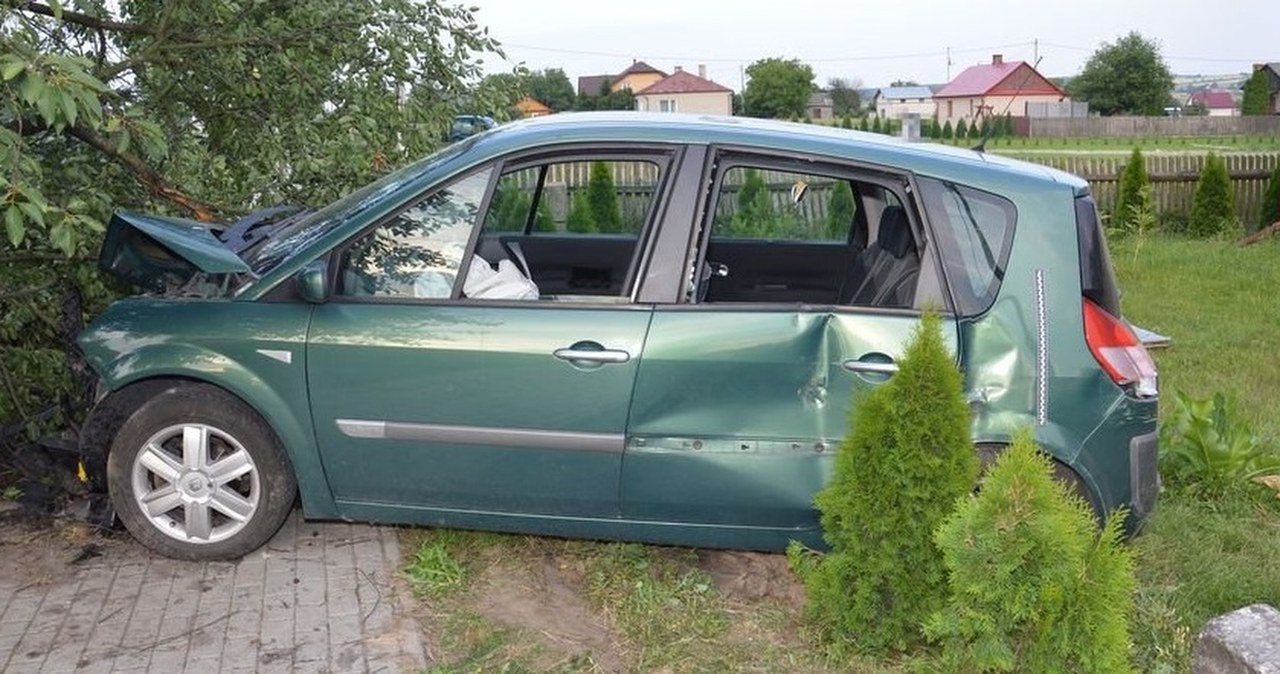 Nietypowy wypadek, którego jednak nie spowodował alkohol - Motoryzacja w INTERIA.PL