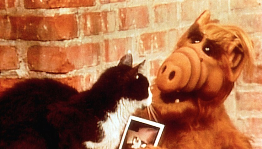 Kultowy serial "Alf" wróci na ekrany? - Film w INTERIA.PL