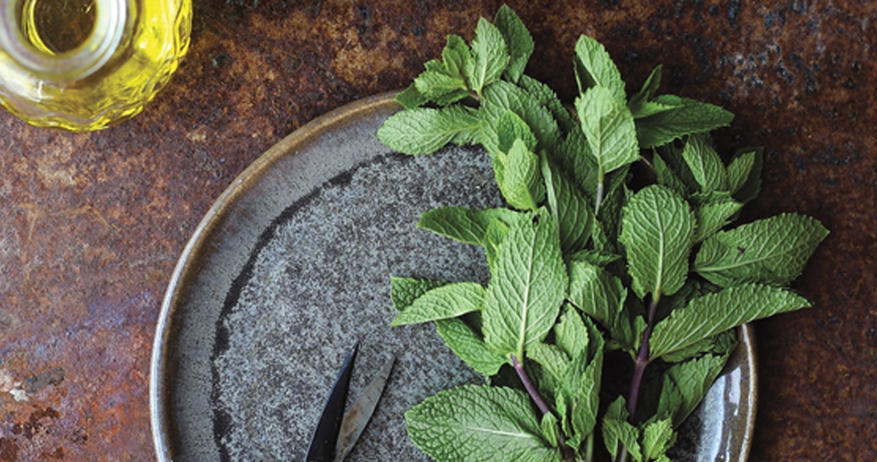 Samar Khanafer, "Szafran, mięta i kardamon" - Styl w INTERIA.PL