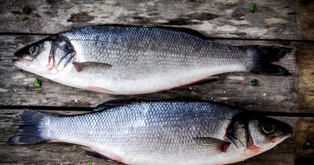 Jak sprawdzić, czy ryba, którą kupujemy, jest świeża? - Kobieta w ...