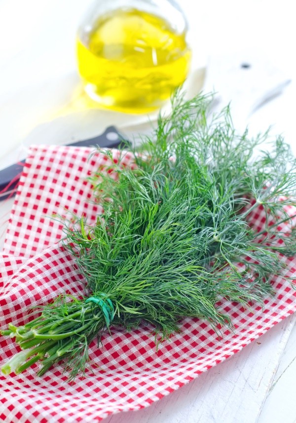 Koperek i jego lecznicze właściwości - Kobieta w INTERIA.PL