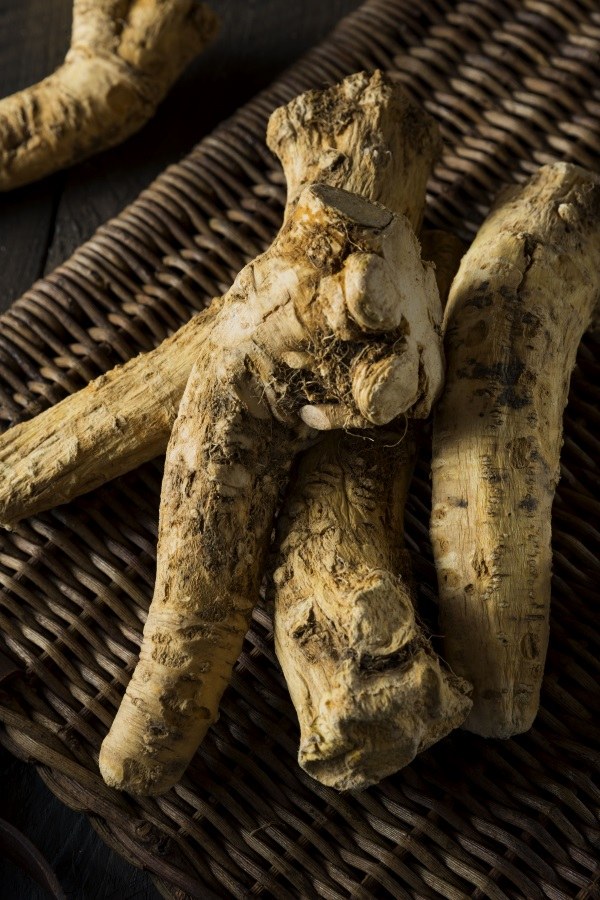 Chrzan oraz jego niezwykły wpływ na zdrowie - Kobieta w INTERIA.PL