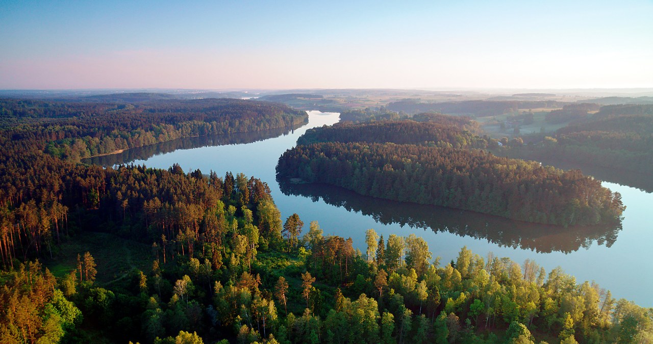 10 zł czy 10 mln zł? Problemy z liczeniem wartości przyrody - Zielona w ...