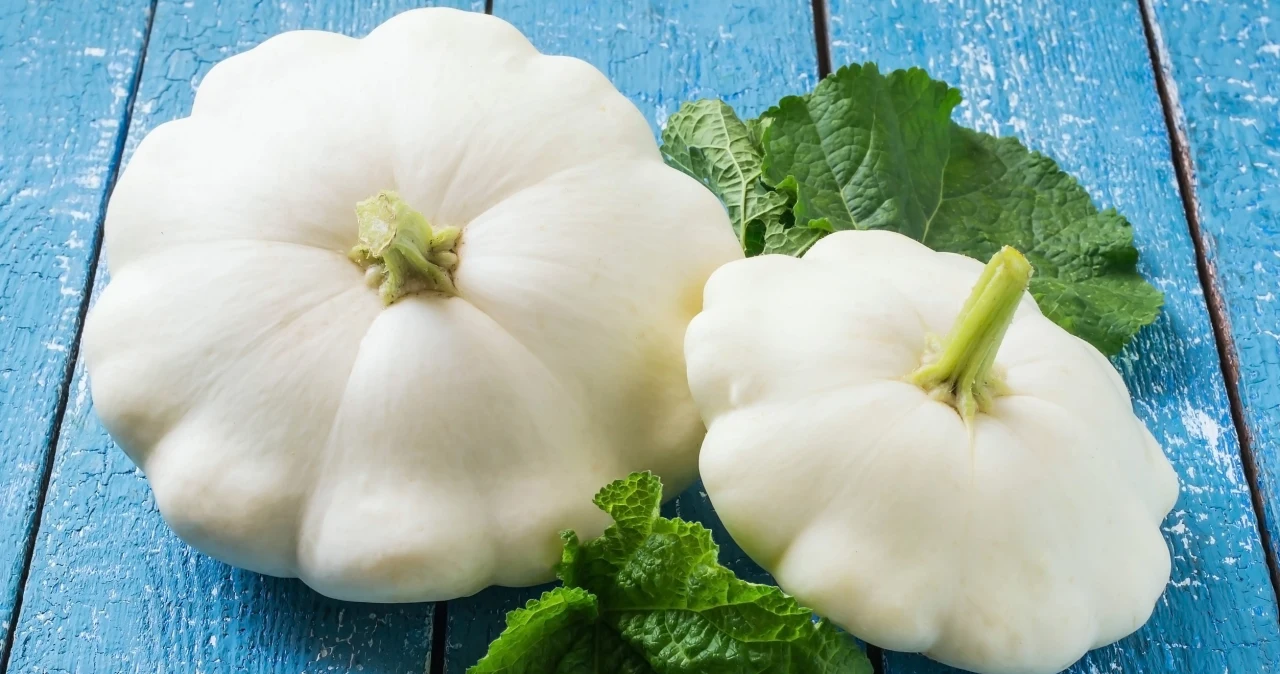 Patison: Przepisy i właściwości. Co można z niego zrobić? - Kobieta w ...