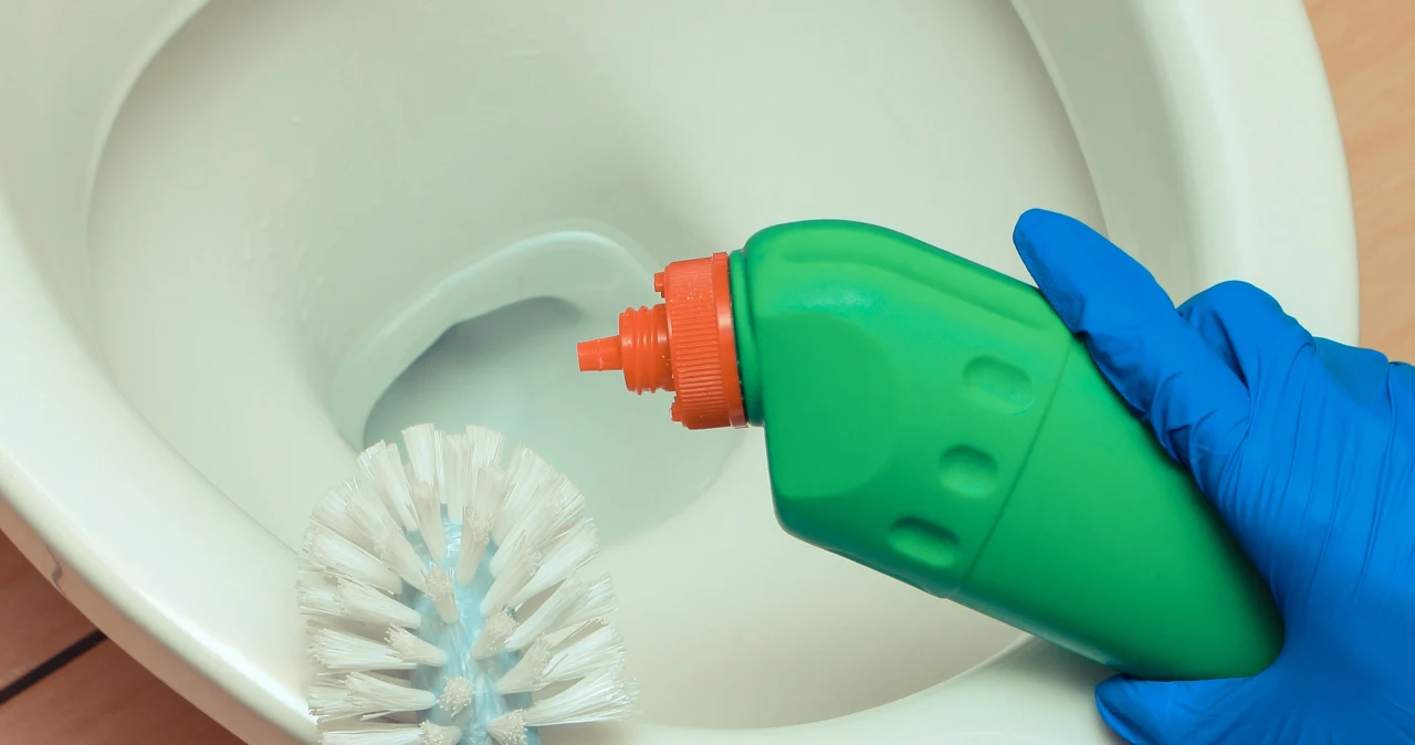 Czyszczenie toalety krok po kroku - Kobieta w INTERIA.PL