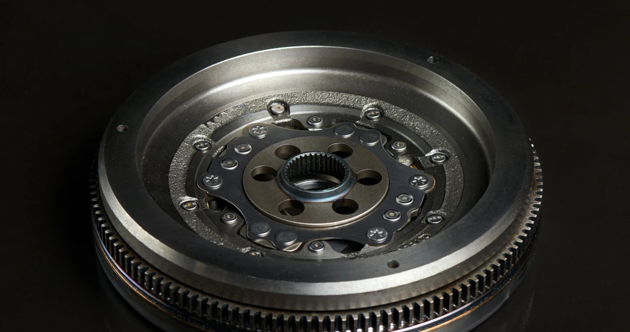 Dwumasa. Jak działa, co jej szkodzi i jak o nią dbać. Objawy awarii ...