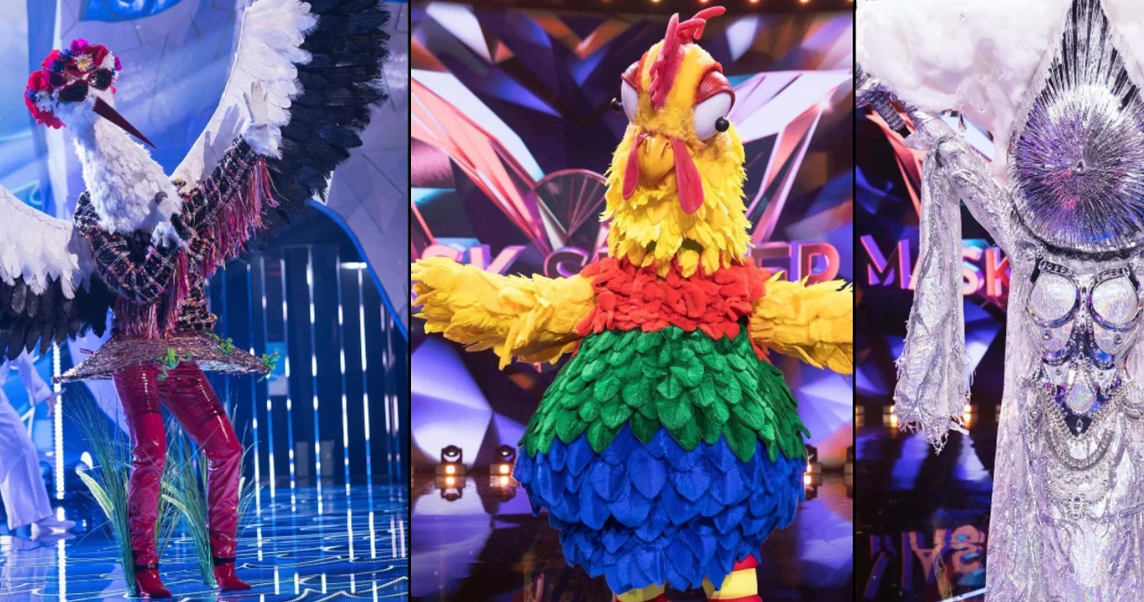 "Mask Singer": wielki finał. Bocian, Deszcz, Kogut - kto zwycięży ...