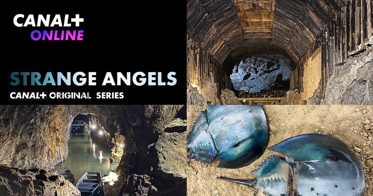 "Strange Angels": Kominek, Ogrodnik i Olszówka w nowym serialu Canal+ ...