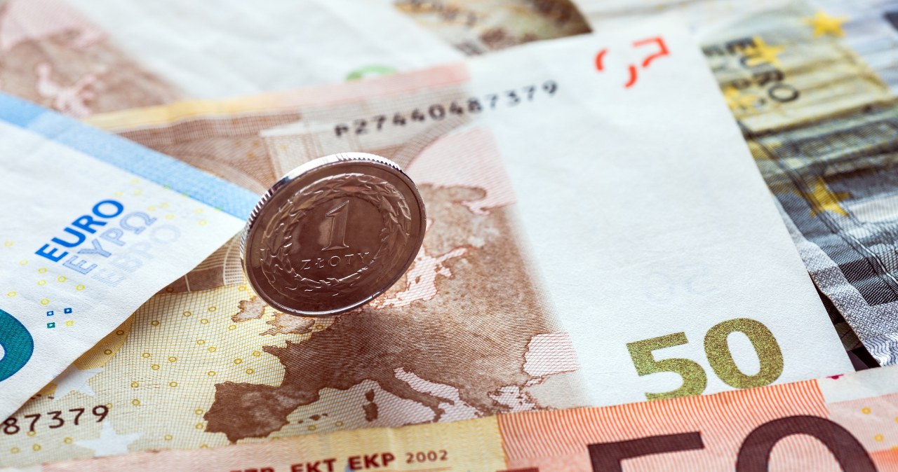 "Polska poza strefą euro to coraz większe koszty" - Biznes w INTERIA.PL