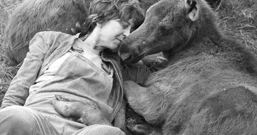 "Simona": Z "tych" Kossaków. Czarownica zwierząt - Film w INTERIA.PL