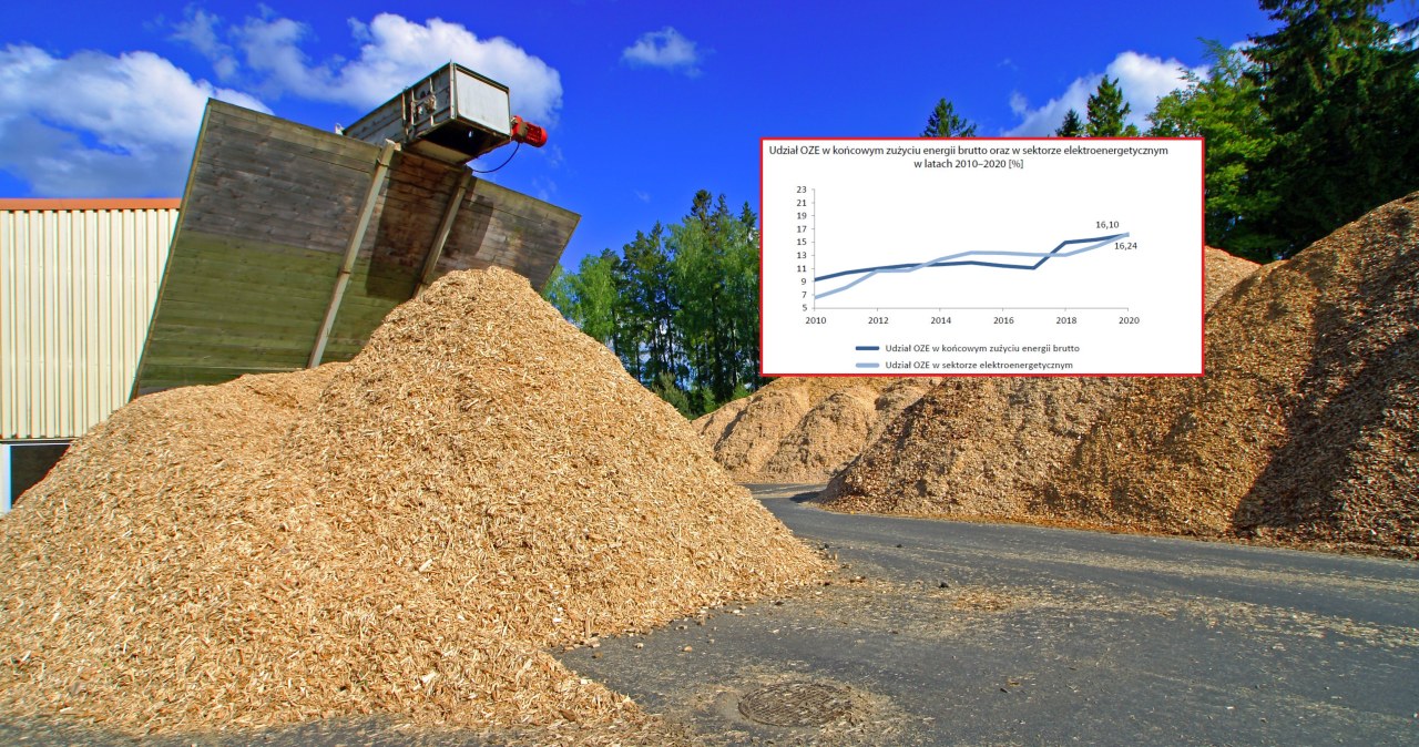 Węgiel i gaz na wagę złota. Dlaczego nie zwiększamy produkcji energii z biomasy? - Wydarzenia w ...