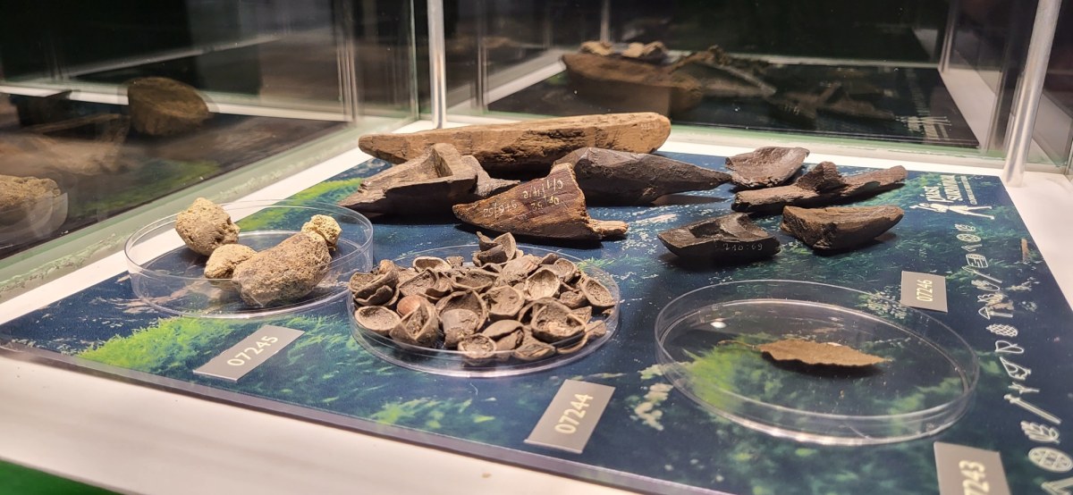 Wystawa w Muzeum Początków Państwa Polskiego. Wśród eksponatów ...