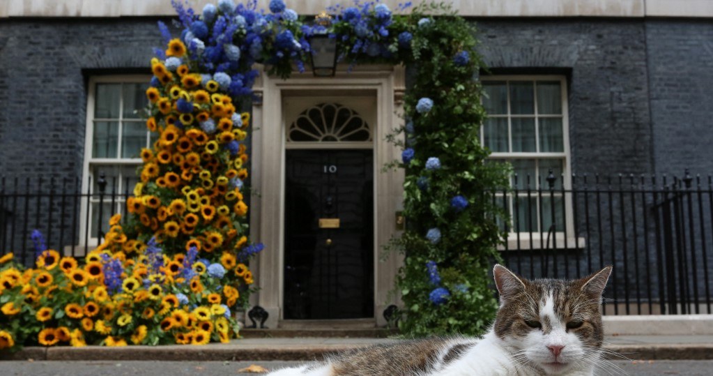 Larry - kot z Downing Street. Premierzy się zmieniają, a on trwa ...
