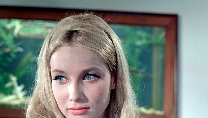 Jedna z najpiękniejszych polskich aktorek. Dlaczego Pola Raksa zniknęła ...