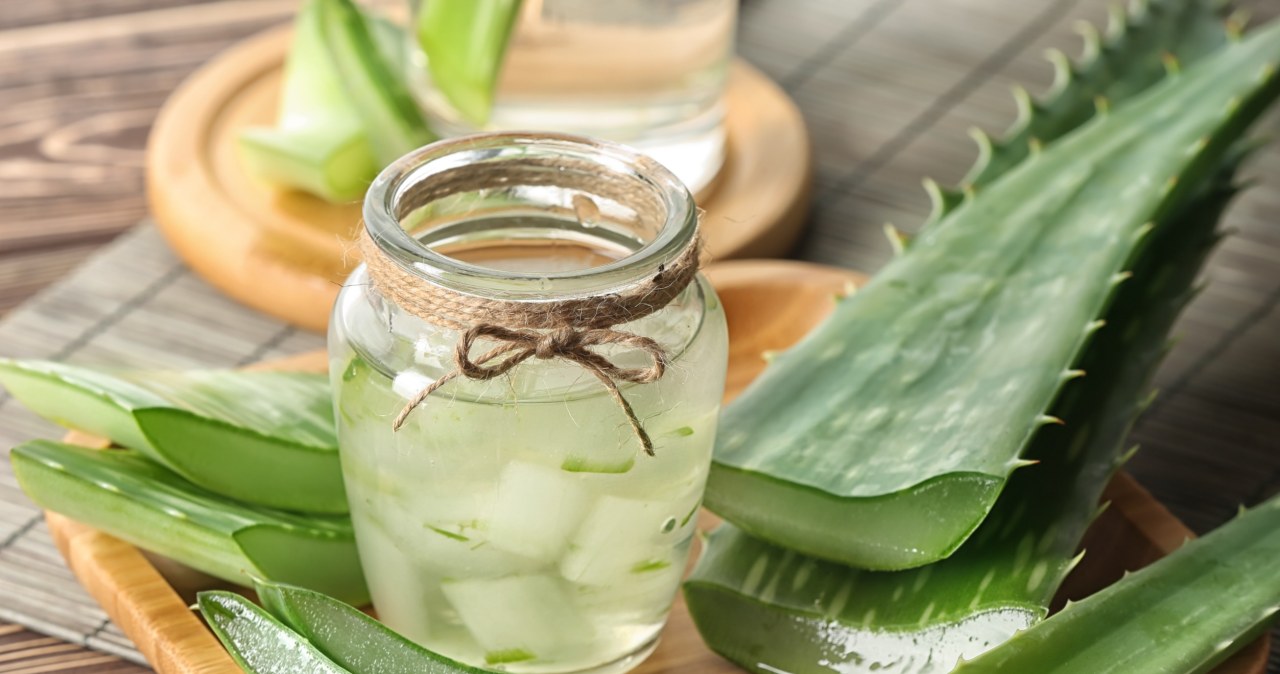 Na co pomaga aloes do picia? Właściwości i dawkowanie - Kobieta w ...
