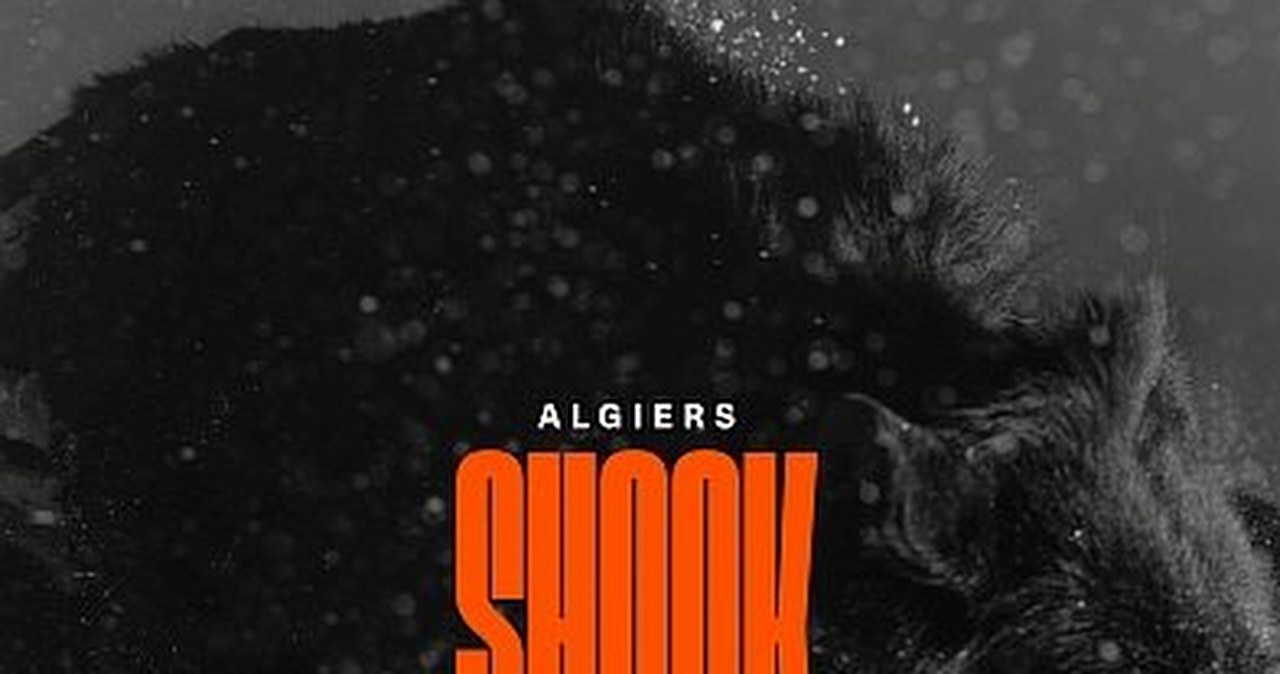 Algiers "Shook": Muzyka polityczna [RECENZJA] - Muzyka w INTERIA.PL