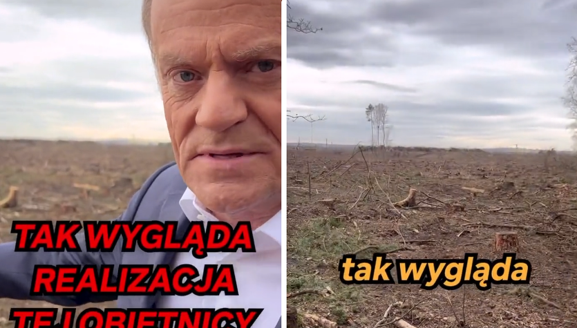 Jaworzno: Donald Tusk pokazuje wycięty las. "Tu ma powstać Izera" - Wydarzenia w INTERIA.PL