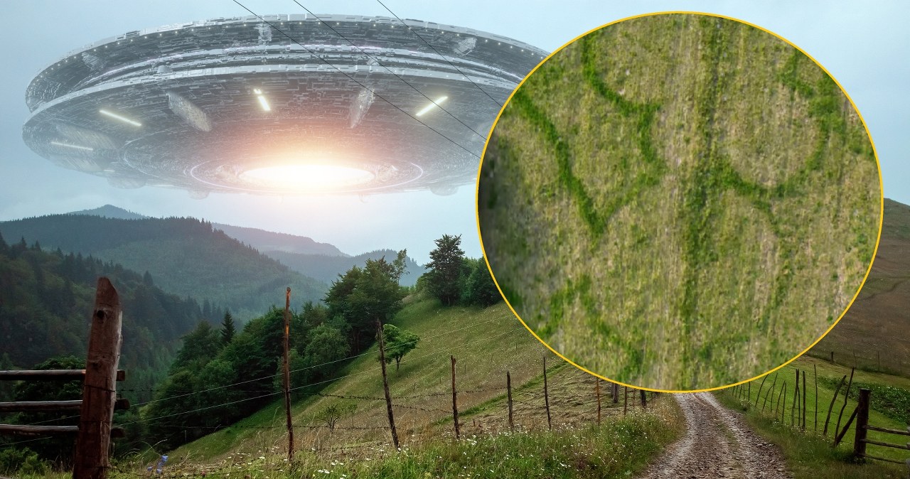 Kręgi wykonało UFO? Zagadkowe zjawisko na polach pod Szczebrzeszynem ...