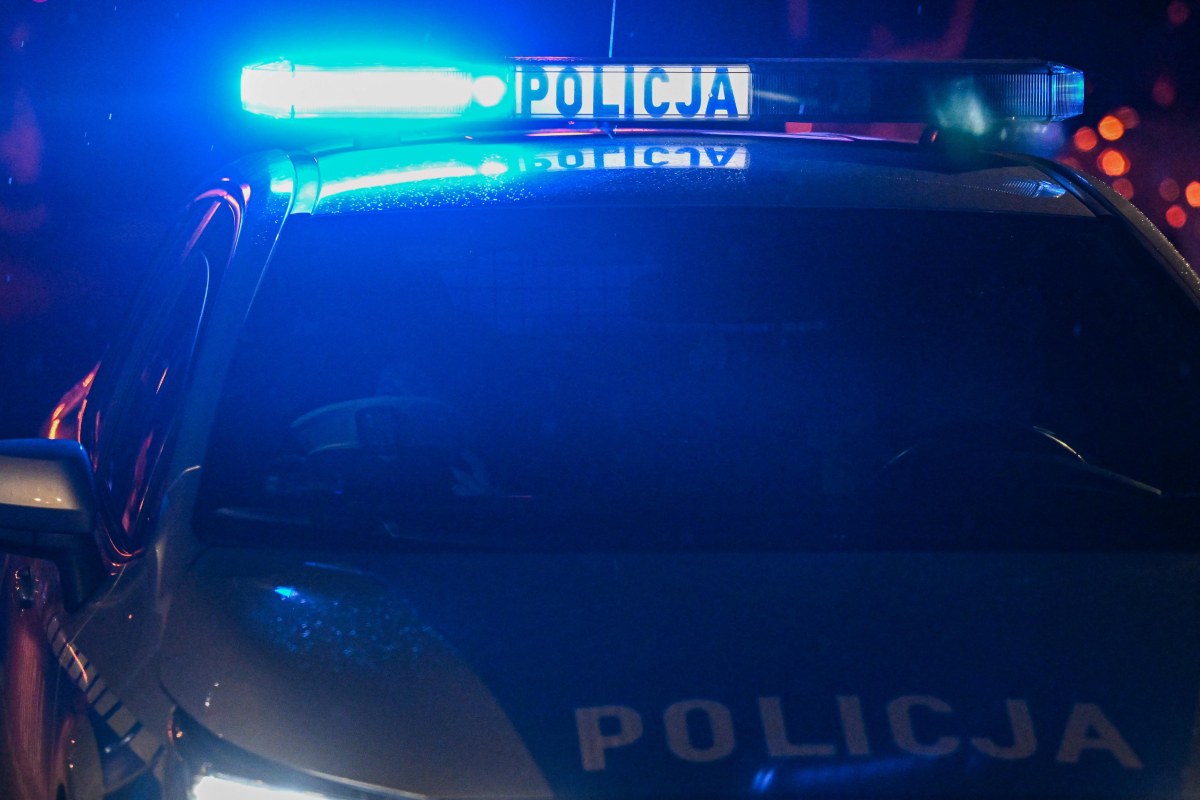 18-letni kierowca nie żyje. Tragiczny wypadek w Wielkopolsce - RMF 24