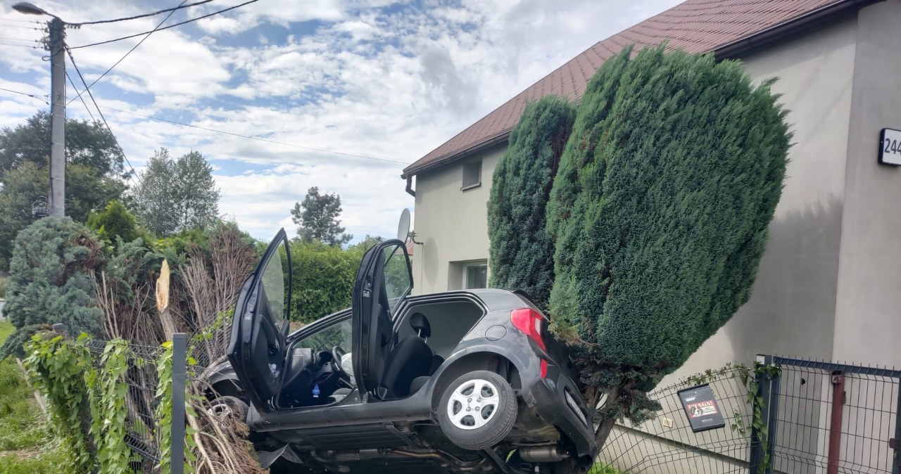 Śląsk: 23-latek ucieczkę przed policją zakończył na ogrodzeniu - Wydarzenia w INTERIA.PL