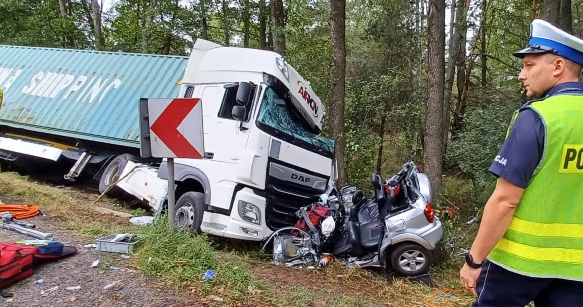 Kamieńczyk: Wypadek na DK62. Ranne cztery osoby - Wydarzenia w INTERIA.PL