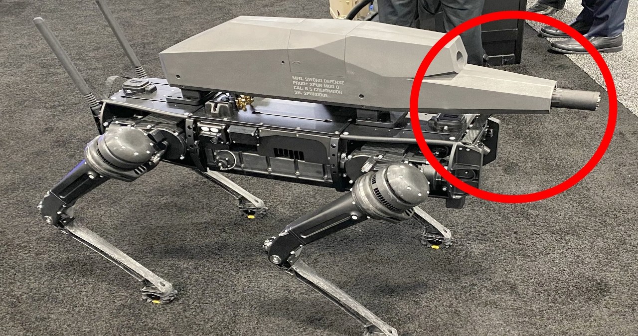 W Polsce pojawiły się bojowe robo-psy. Tak wygląda przyszłość ...