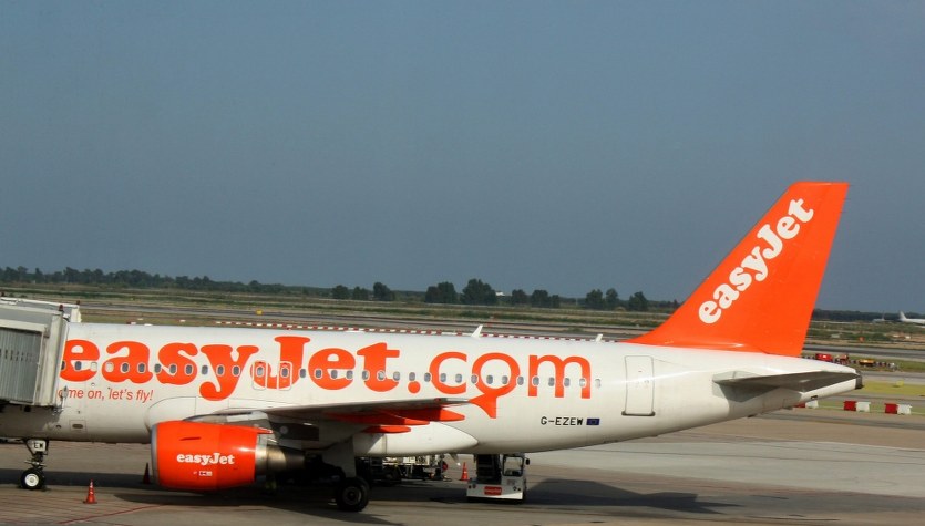 Holandia: Samolot EasyJet miał problem. Pilot został ukąszony przez ...