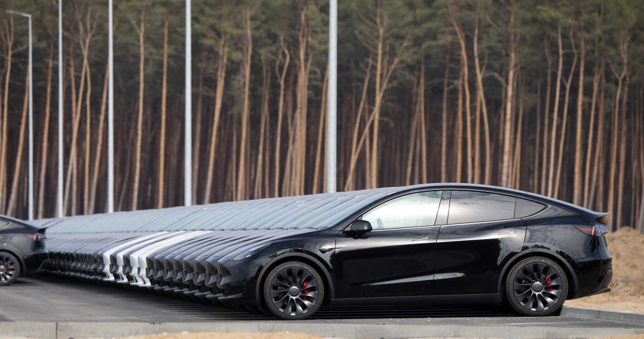 Tesla chce produkować nowy model w cenie Dacii. Premiera coraz bliżej ...
