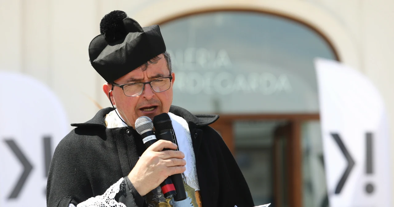 Ksiądz Piotr Natanek mówił o dzieciach z in vitro. Będzie kolejny ...