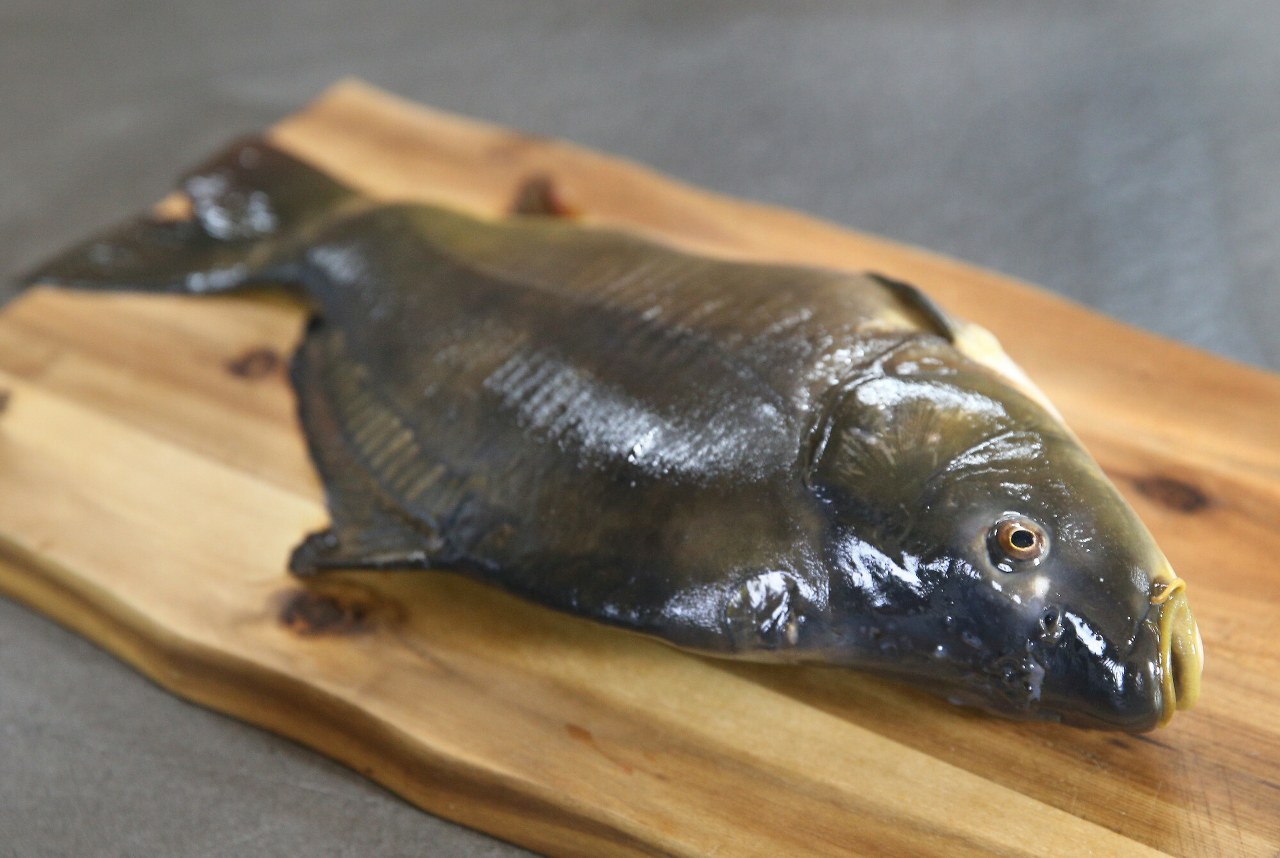 Karp już pojawia się w sklepach! Ile wyniesie cena w tym roku? A ile ...