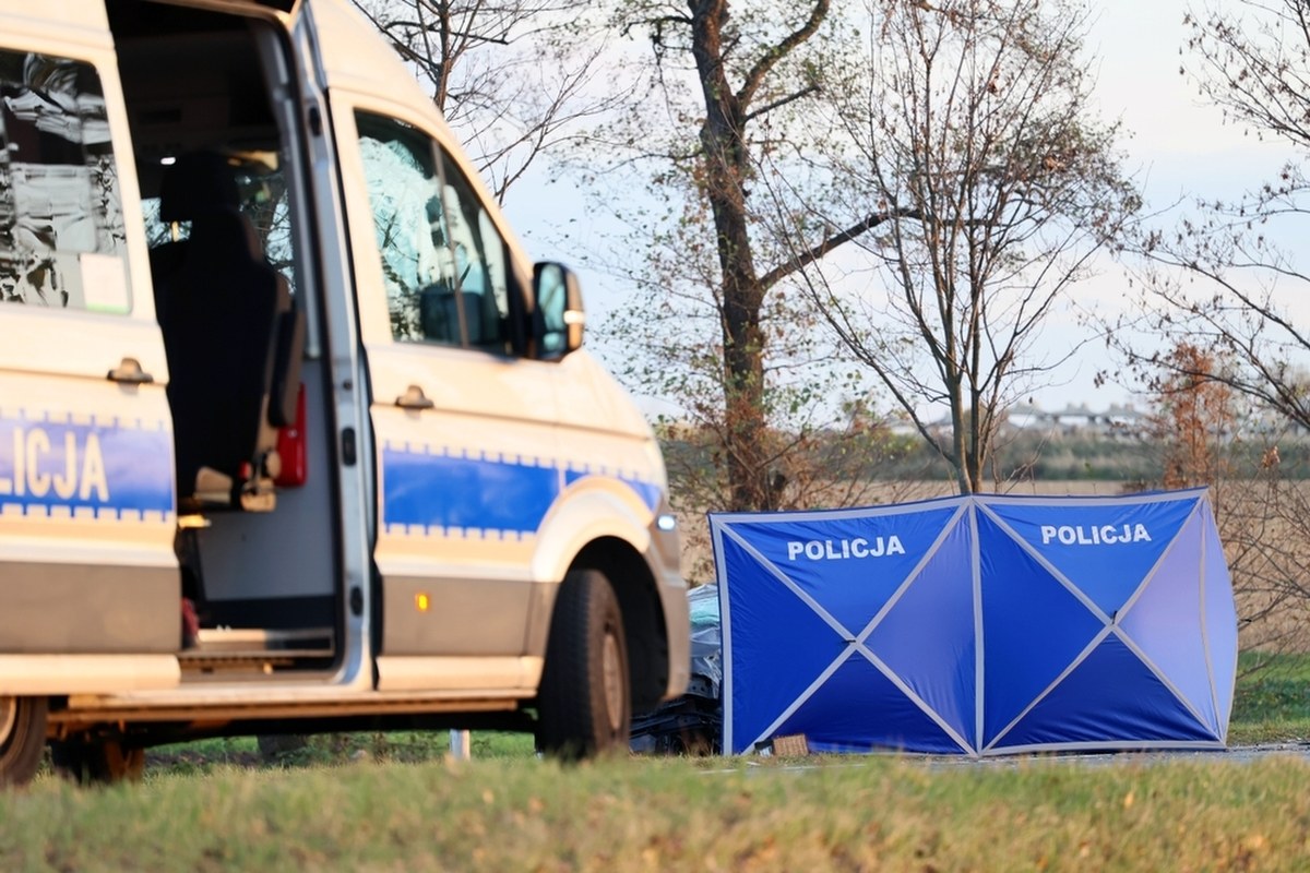 Tragiczny wypadek na A4 koło Opola - RMF 24